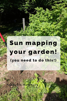 How to Make a Sun Map of Your Garden – TUTORING YOU