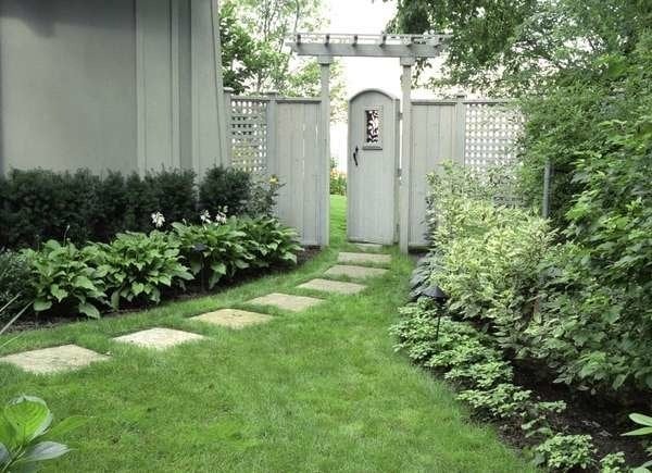20 Plants to Use as Lawn and Garden Borders – TUTORING YOU