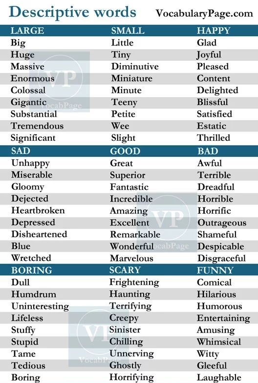 Descriptive Words – TUTORING YOU